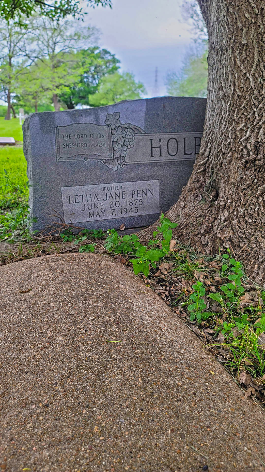 Holbrook, Letha Jane Penn - Crown Hill Cemetery Association