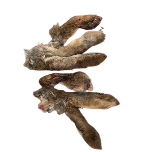 Raw Rabbit Feet 10pack | The Emporium
