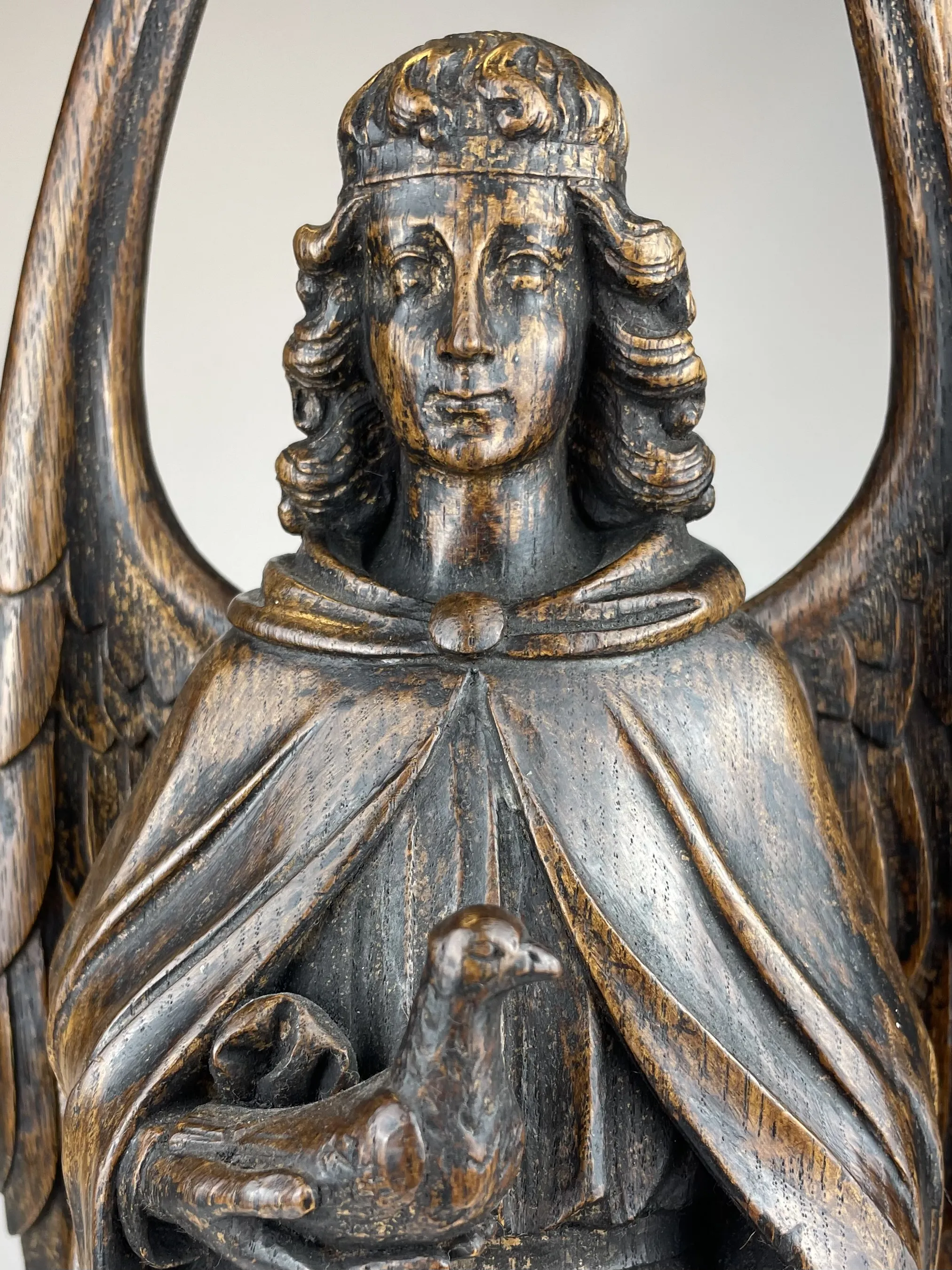 FLEMISH CARVED OAK ANGEL | Andy Maule Antiques