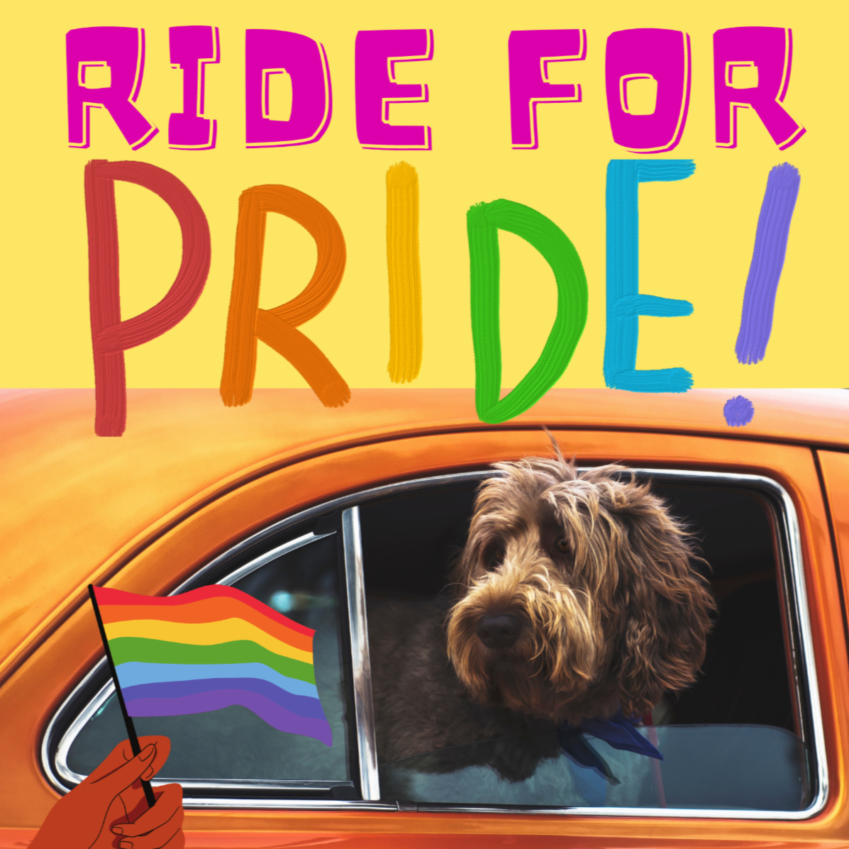Venice, FL Pride Car Parade | Live Site