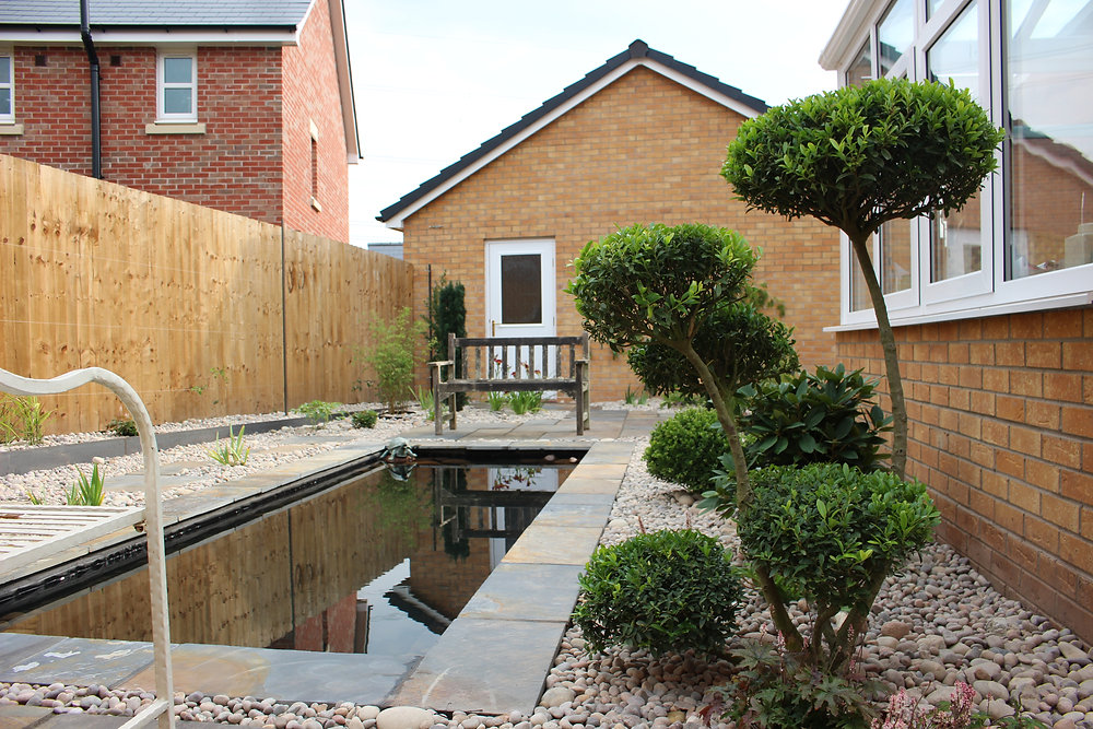 Create a Spectacular Formal Wildlife Pond | Border Landscapes