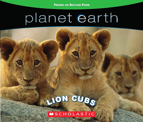 Planet Earth Lion Cubs | kahaanibox