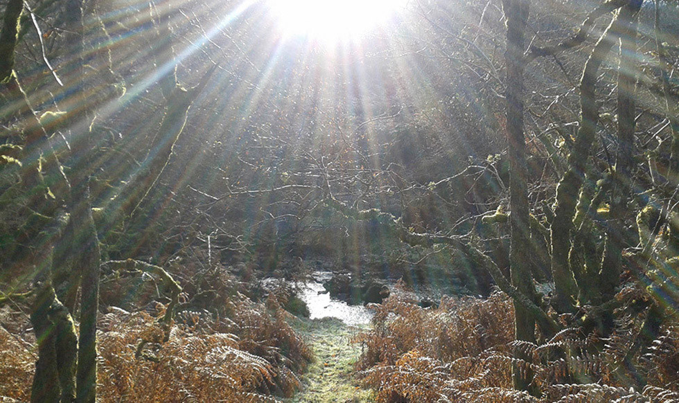 Ally Stott | Healing our sense of separation | Wholearth Psychotherapy ...