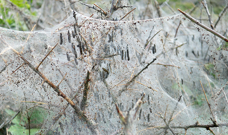 Retreats Training Workshops | Mentoring | Ally Stott - Oxfordshire