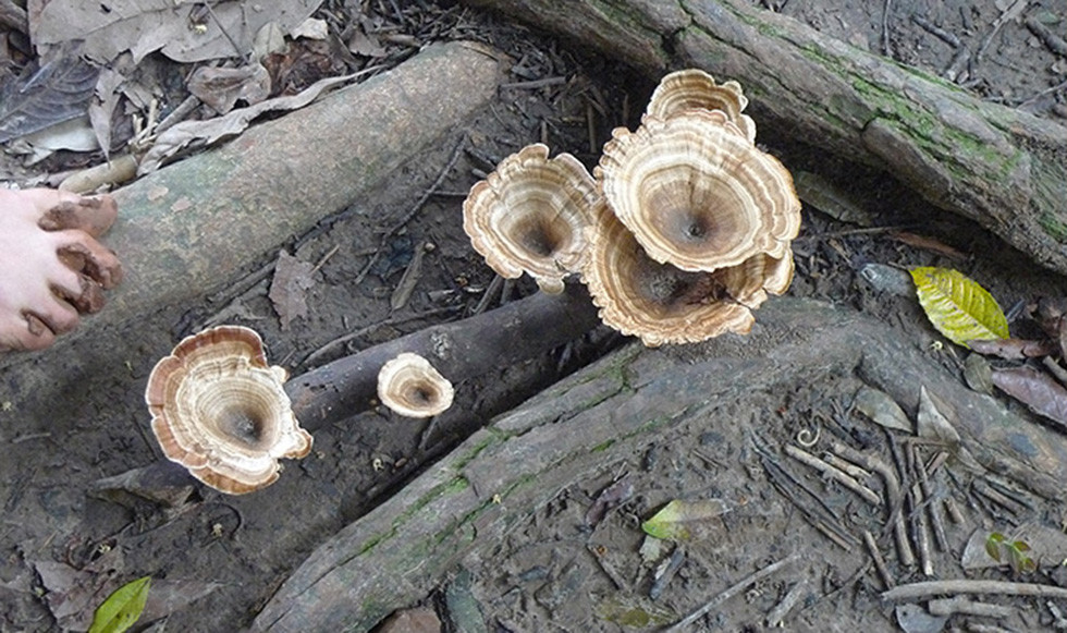 Making contact & Newsletter | Ally Stott - Oxford