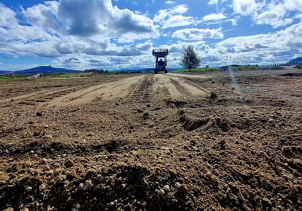 SERVICES | Arena Surfaces NZ