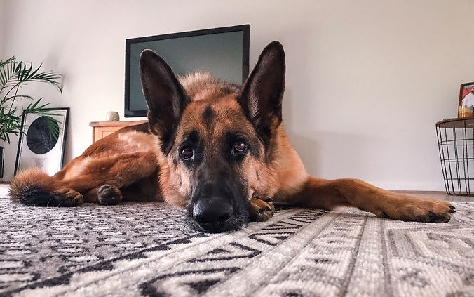 Home Based Programs | The Rehab Sanctuary