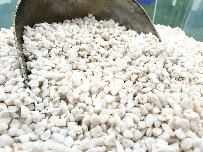 Mushroom Growing Supplies NZ | Sporeshift Mushrooms