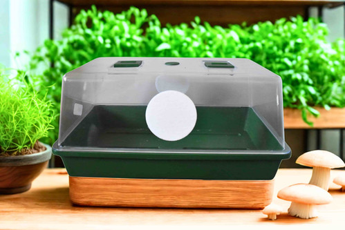 Monotub Airhole Filter Patches (6-Pack) | Sporeshift Mushrooms