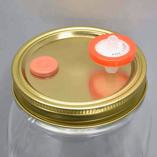 Ready Made Airport Lids - Spawn Jar Lids | Sporeshift Mushrooms