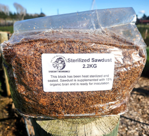 Sterilized Sawdust blocks - 2.2 KG | SporeShift Mushrooms