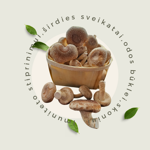 Švieži Shiitake grybai | Vežime