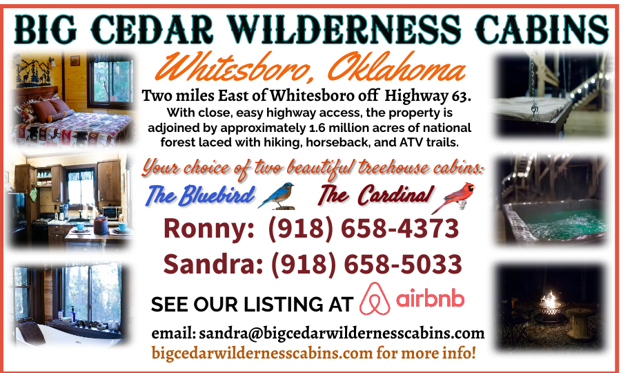 US Marshal's Most Wanted: John Ruffo - Wanted for Bank Fraud - $25,000 ...