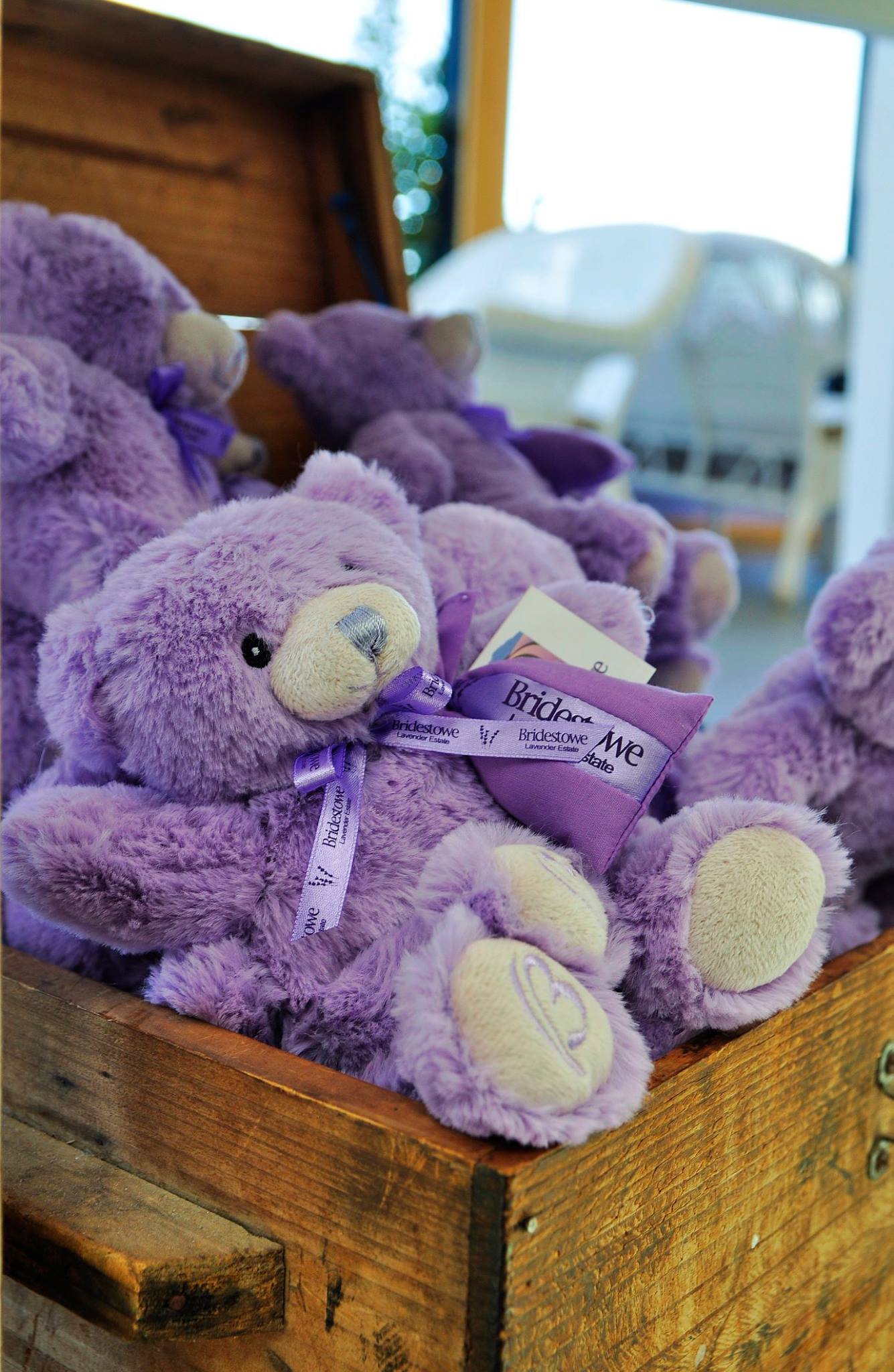 塔斯曼尼亞特產 | 塔斯曼尼亞手信 | 塔斯曼尼亞紀念品