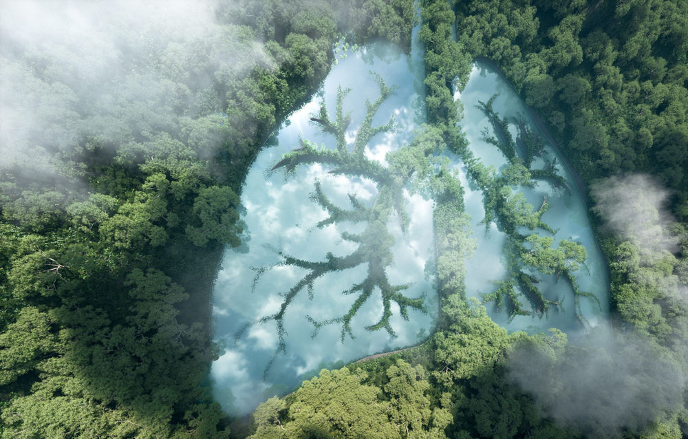 The Breath of Life