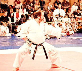 MARTIAL ARTS STYLES | Academy of Japanese Karate | Lafayette, Sussex ...