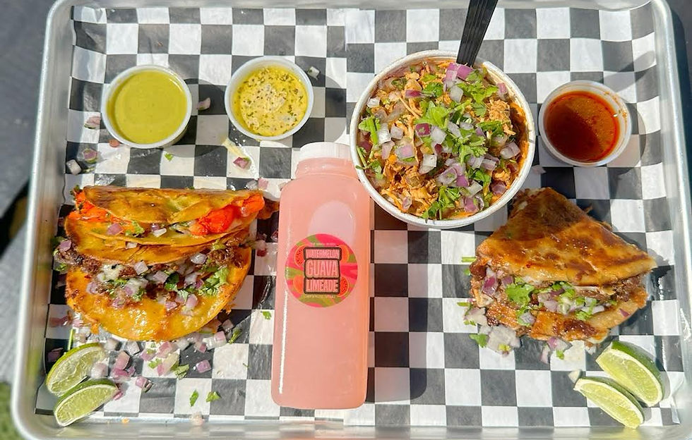 The Birria Queen | Best Birria Tacos In Houston, TX | Food Trucks Houston