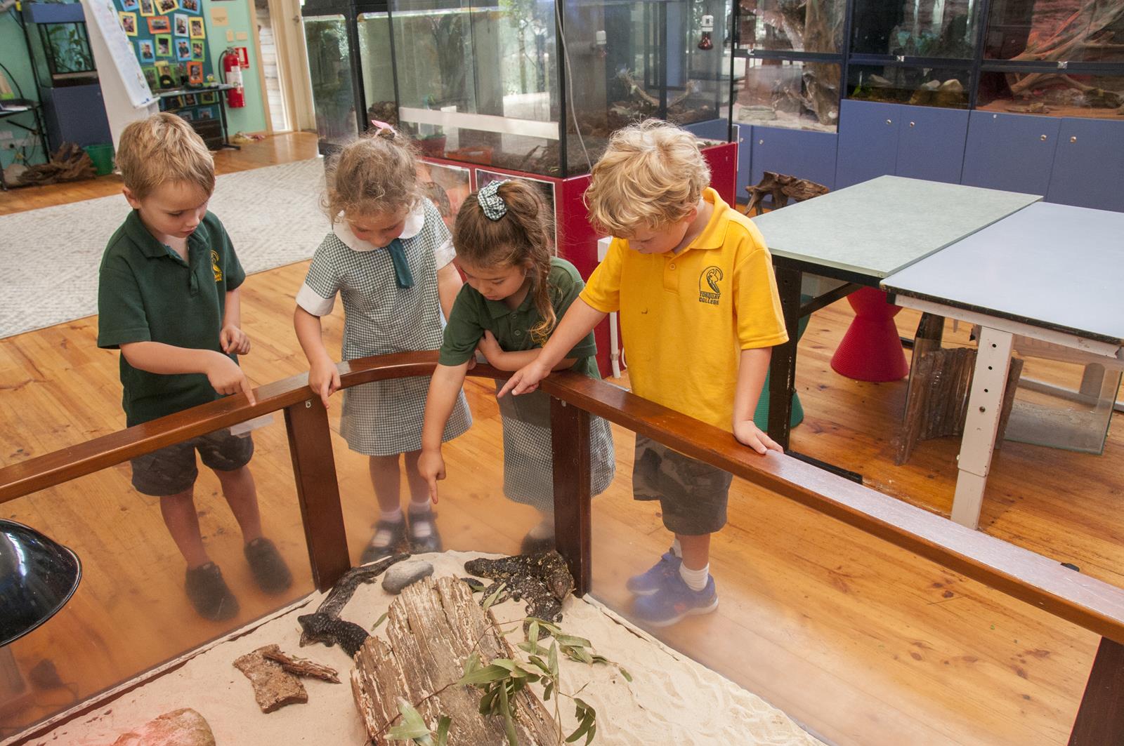 Facilities | Torquay P-6 College