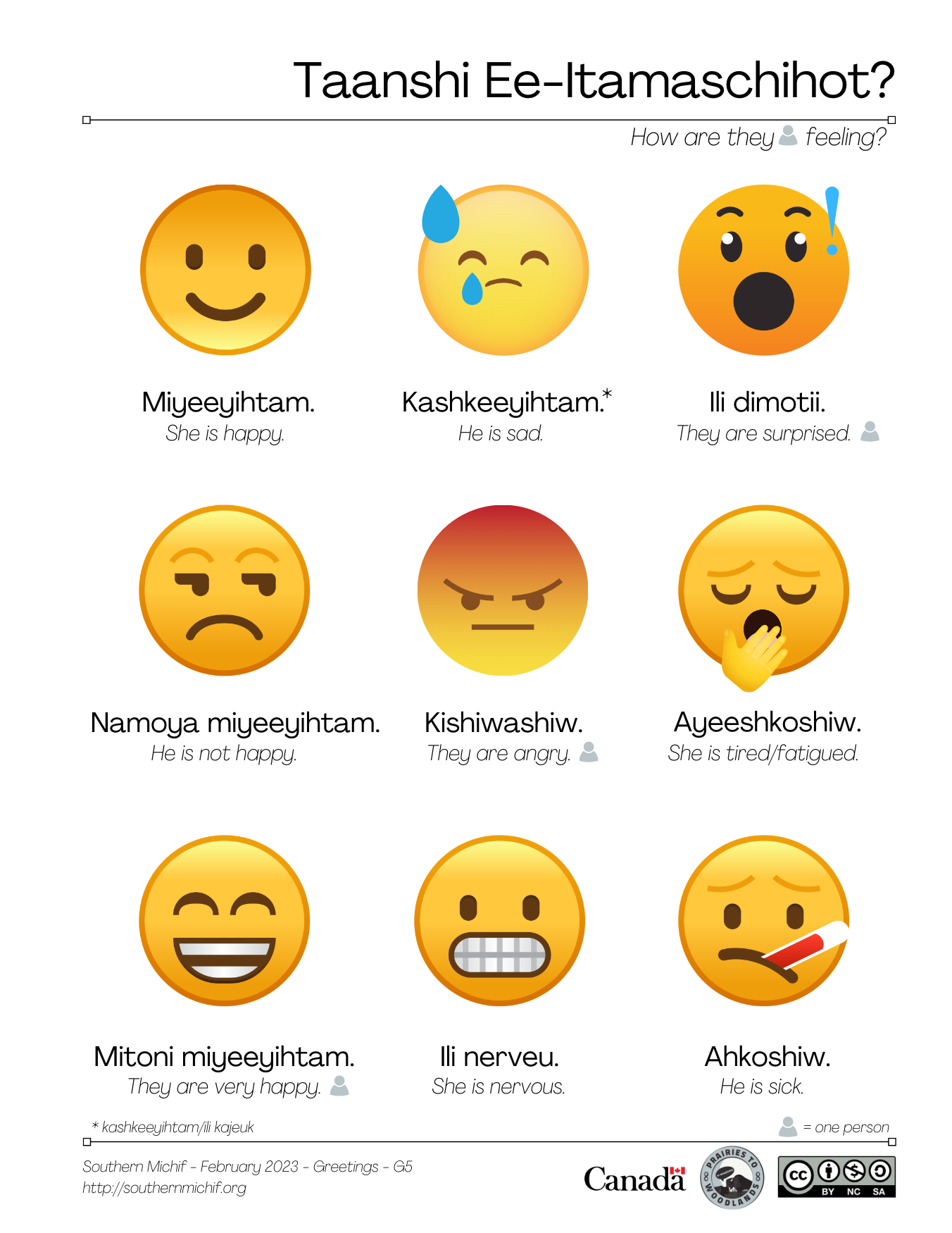 taanshi-ee-itamaschihot | Southern Michif for Learners