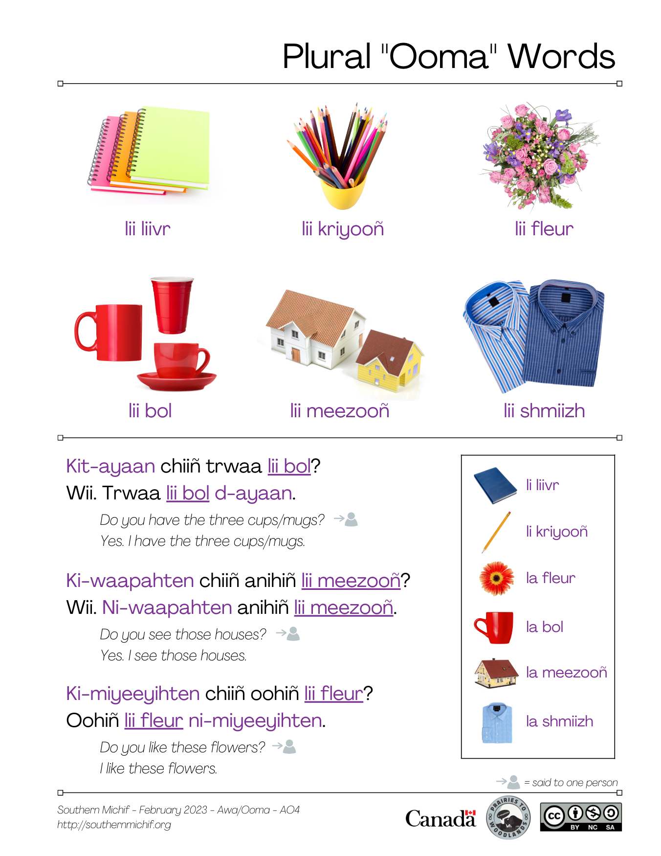 plural-ooma-words | Southern Michif for Learners