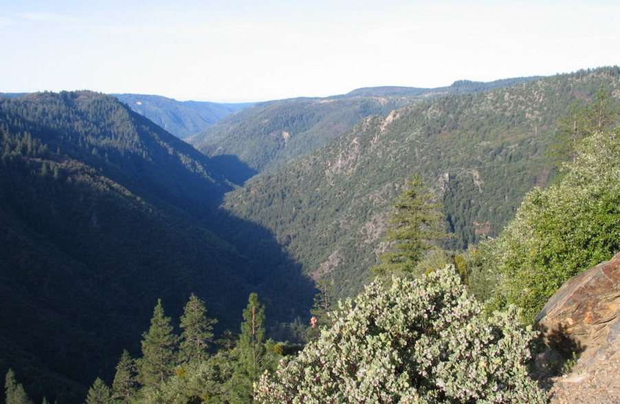 Mosquito Ridge Rd | California Motorcycle Roads | Pashnit.com