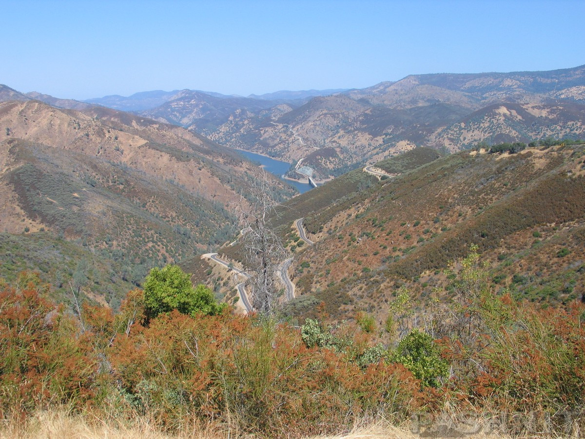 Fullscreen Page | pashnit