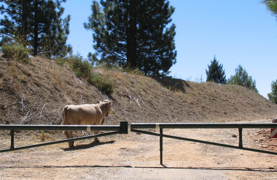 Mosquito Ridge Rd | California Motorcycle Roads | Pashnit.com