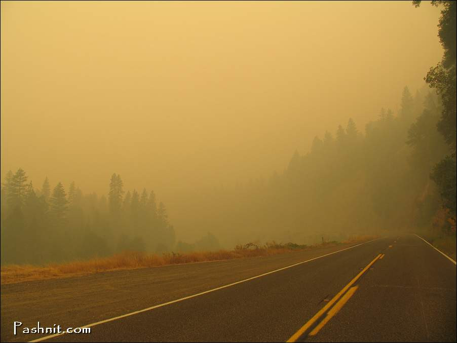 Highway 299 Trinity Scenic Byway | California Motorcycle Roads | Pashnit