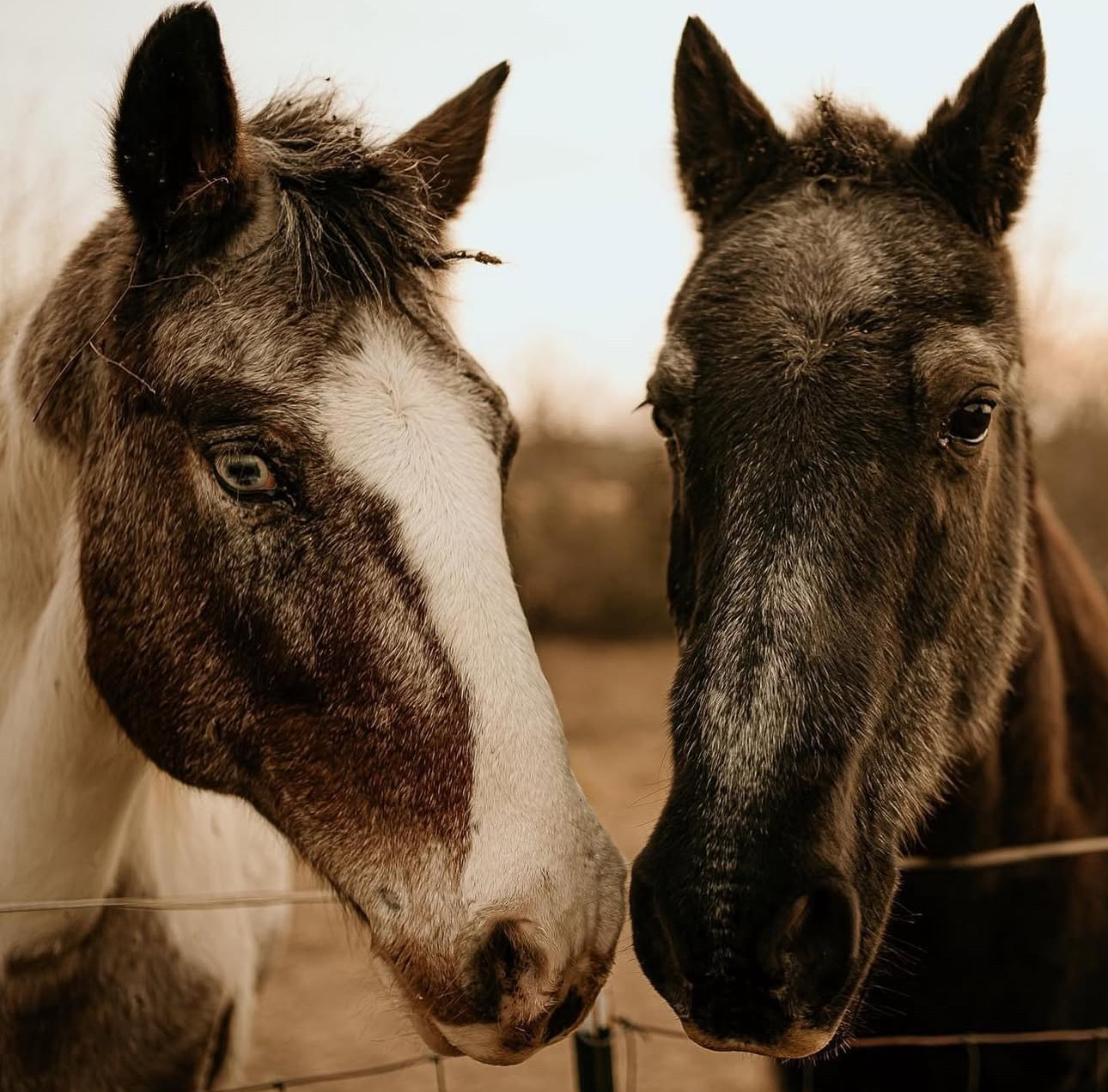 Give Your Photos a Western Film Look | Lightroom Presets Guide