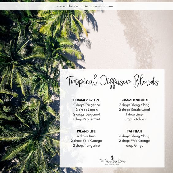 The Ultimate Guide to Diffuser Blends