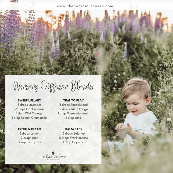 The Ultimate Guide to Diffuser Blends