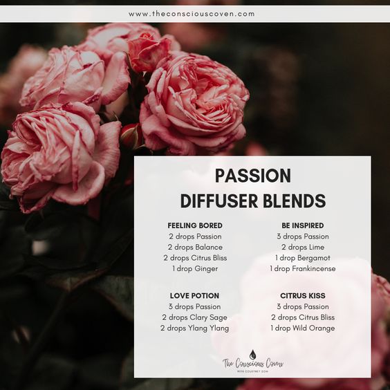 The Ultimate Guide to Diffuser Blends