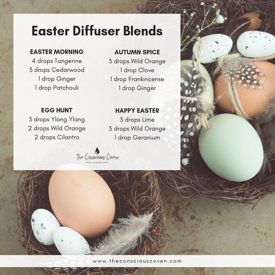 The Ultimate Guide to Diffuser Blends