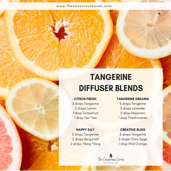 The Ultimate Guide to Diffuser Blends