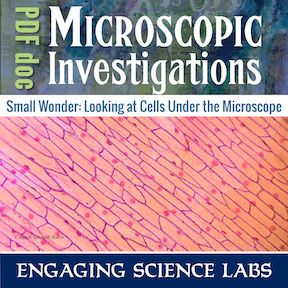 Plant and Animal Cells: Make Your Own Microscope Slides to Compare Cell ...