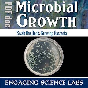Bacteria: Growing Cultures in Petri Dishes from Classroom Surfaces ...