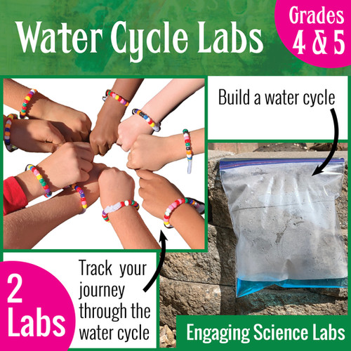 Water Cycle Labs — Model and Kinesthetic Simulation Activities 2 Sci ...