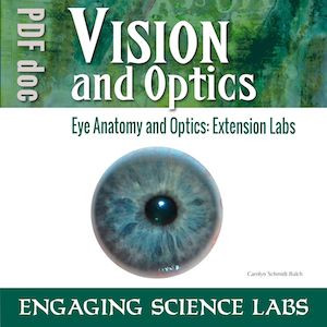 Parts of the Eye: Structures, Functions, and Mechanics of Eyes ...