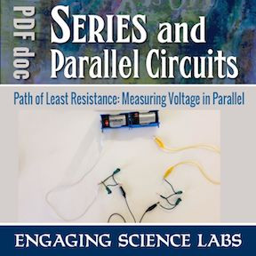 Combining Series and Parallel Circuits — A Hands-on Lab Activity ...