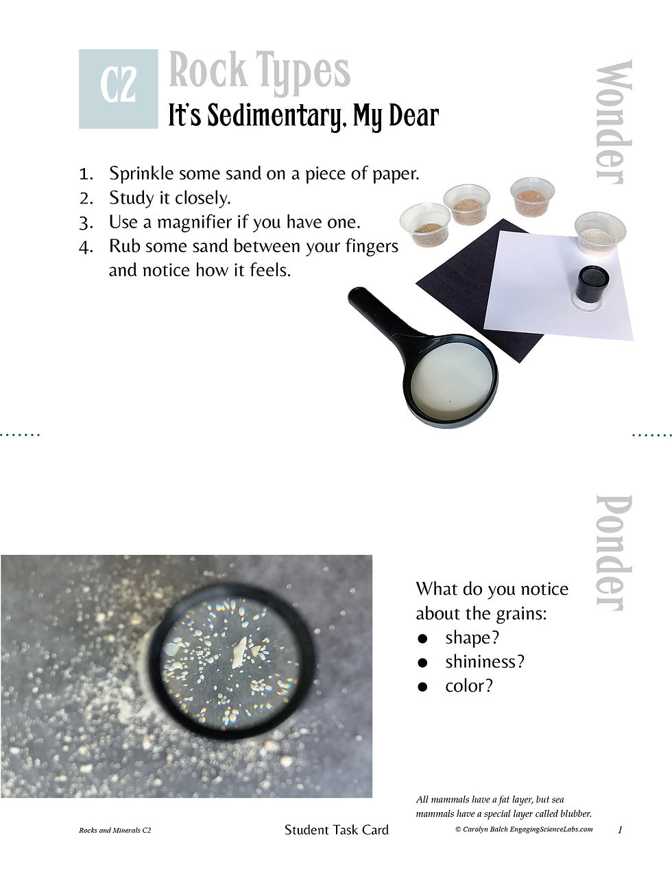 Cell Structure and Cell Organelles: A Learning Game