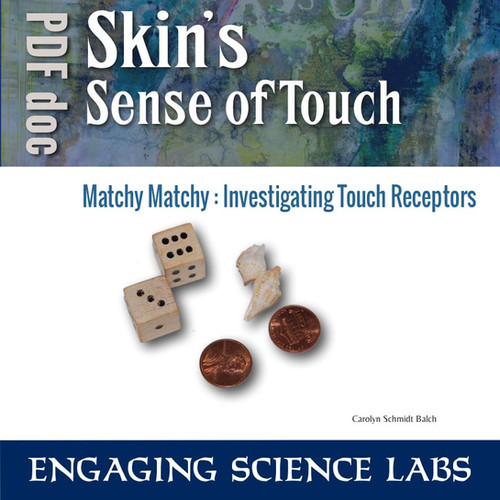 Nerves Study: Sense of Touch Investigation | HandsOn Science Labs