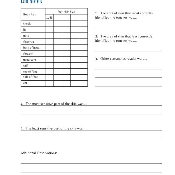 Nerves Study: Sense of Touch, Finding Your Detection Threshold | new ...