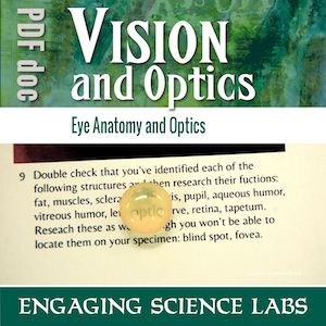 Parts of the Eye: An Investigative Lab | HandsOn Science Labs