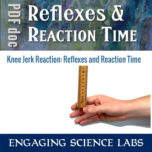 Reaction Time: A Simple Method to Measure It | HandsOn Science Labs