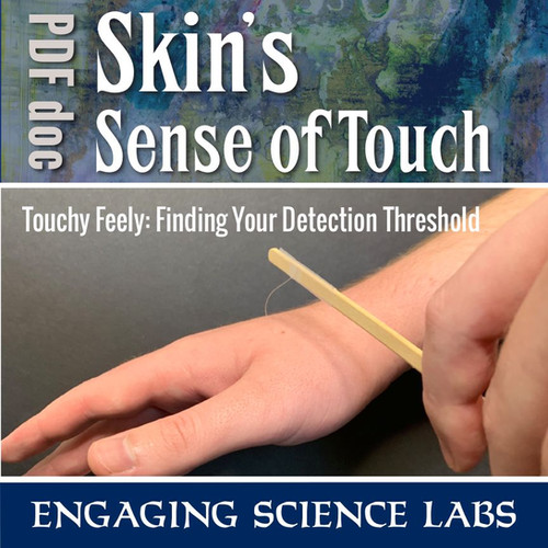 Nerves Study: Sense of Touch, Finding Your Detection Threshold ...