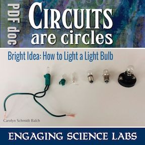 Electric Circuits Activity—Light a Bulb | HandsOn Science Labs