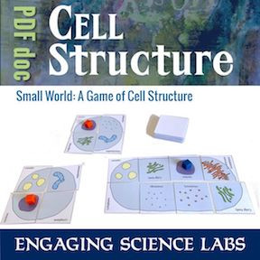 Cell Structure and Cell Organelles: A Learning Game