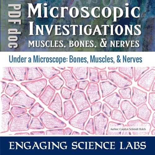 Bones and Muscles and Nerves: Microscope Study | HandsOn Science Labs
