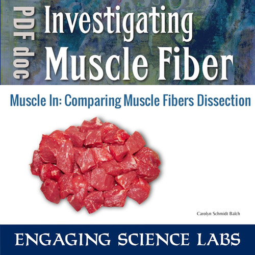 Muscle Types: Smooth and Skeletal Muscle Fibers | HandsOn Science Labs