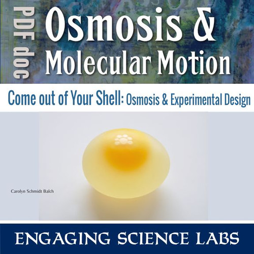 Diffusion and Osmosis Lab: Molecular Movement Through a Membrane ...